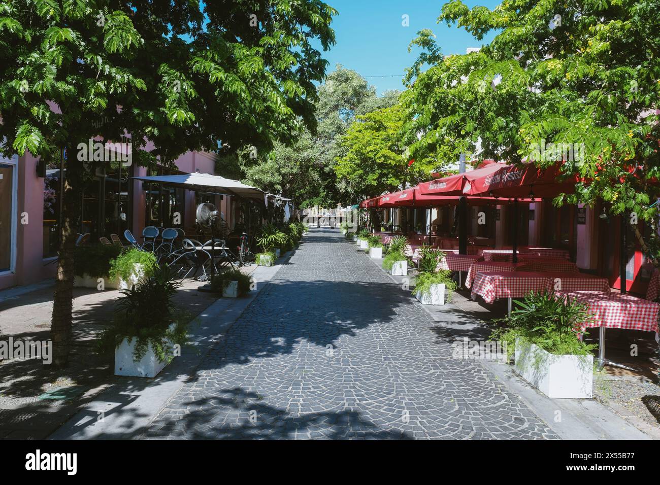 Picturesque street full of bars and restaurants in Miami Beach. Very ...