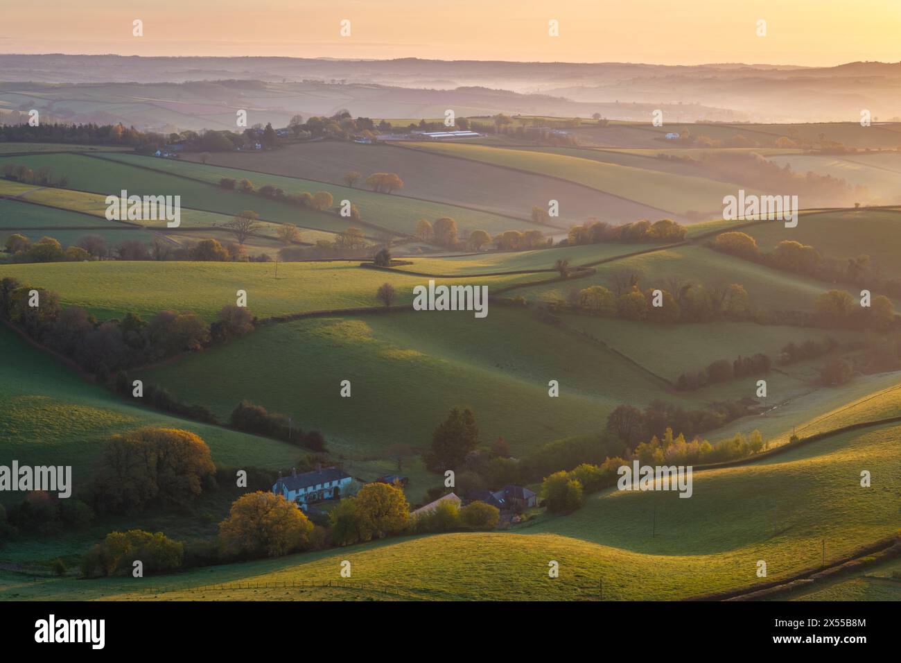 Higher Hollacombe farmhouse surrounded by beautiful rolling Devon ...