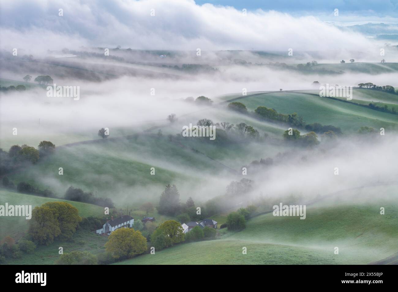Mist shrouded Devonshire countryside at dawn, Crediton, Devon, England ...