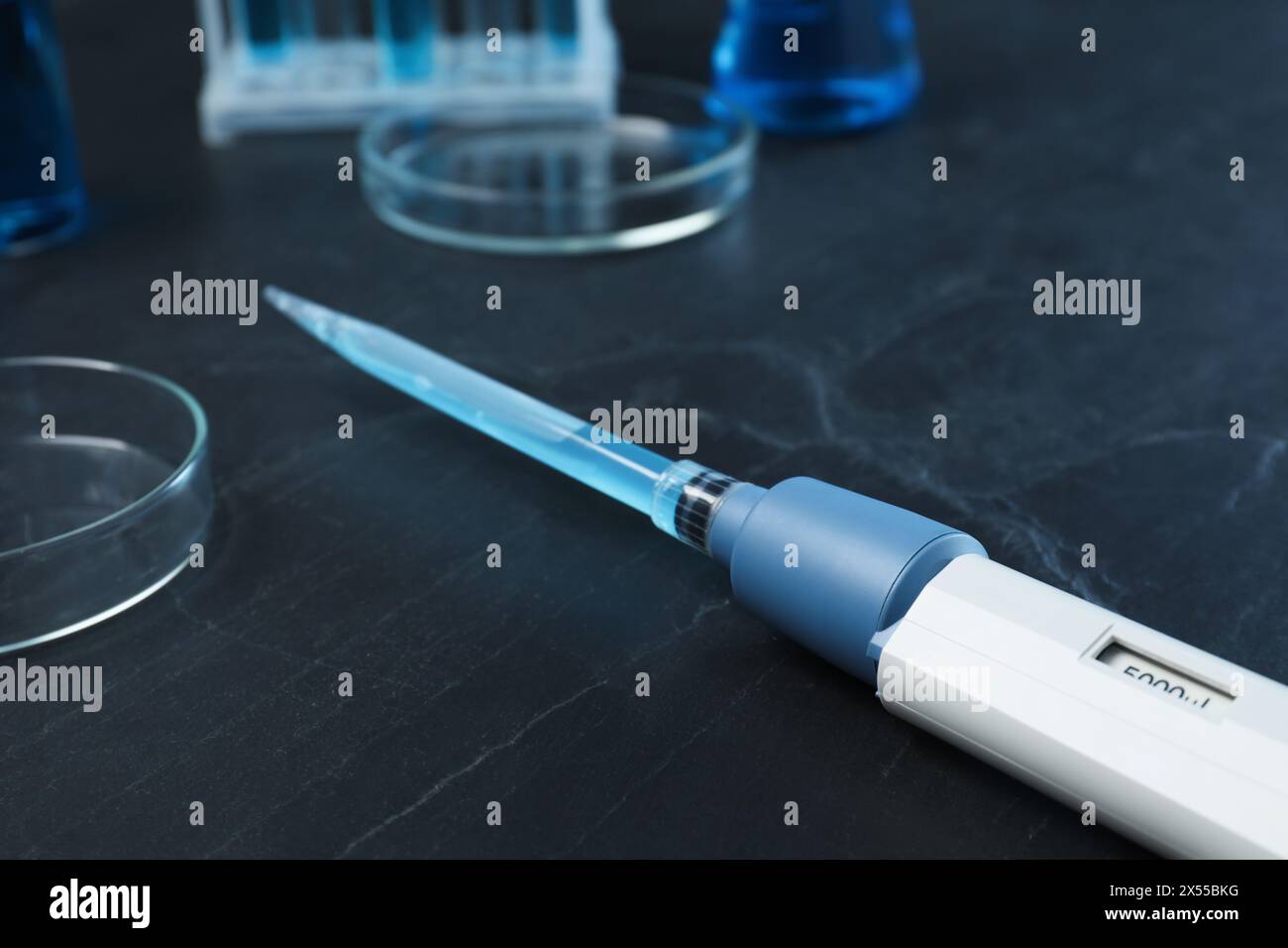 Laboratory analysis. Micropipette with liquid and petri dishes on black ...