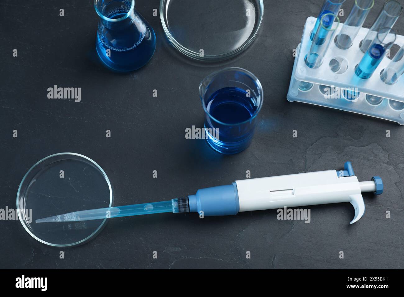 Laboratory analysis. Micropipette, petri dishes, beaker, flask and test ...