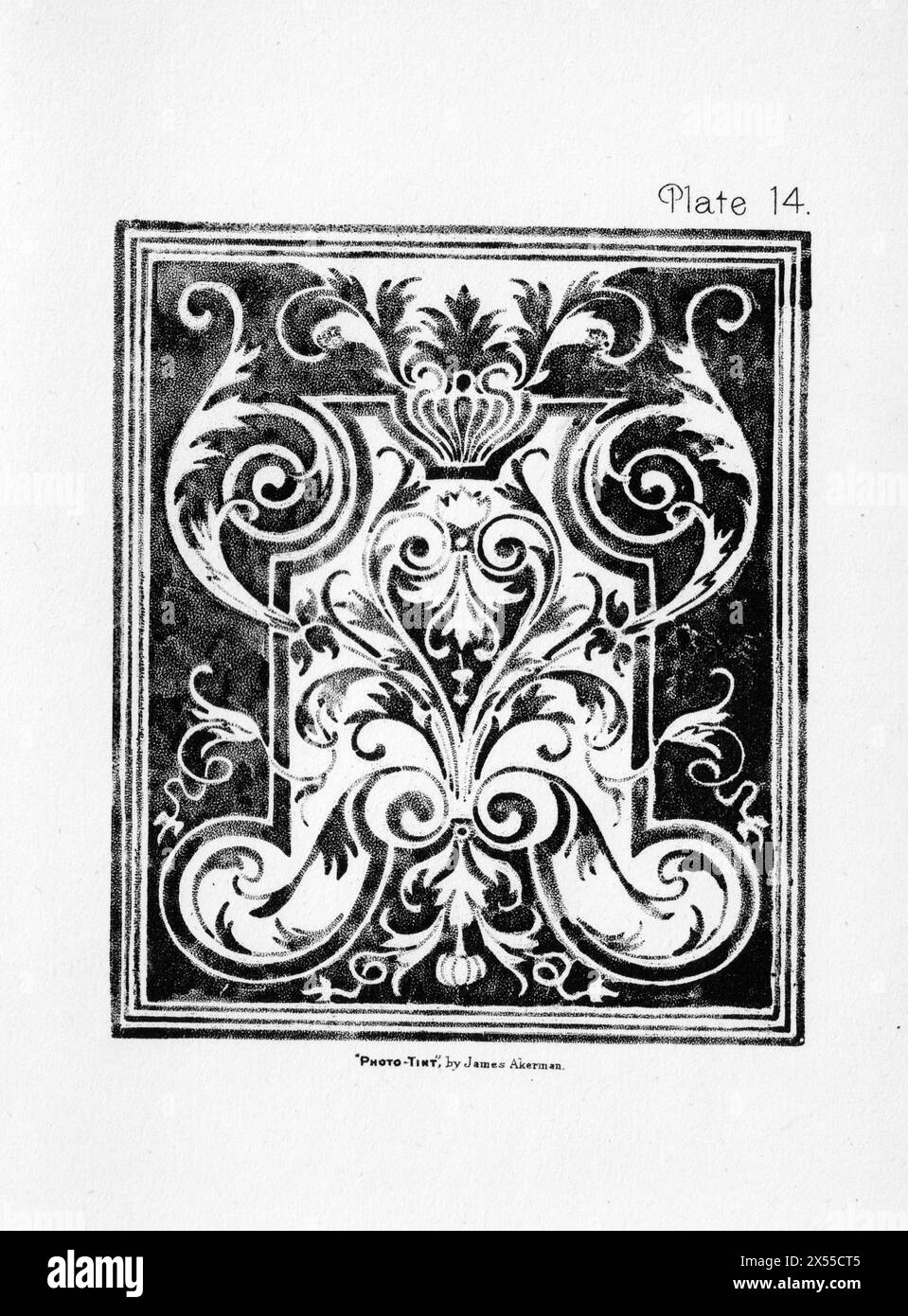 Plate 14 - Lewis Foreman Day (1845-1910) - The Planning of Ornament ...