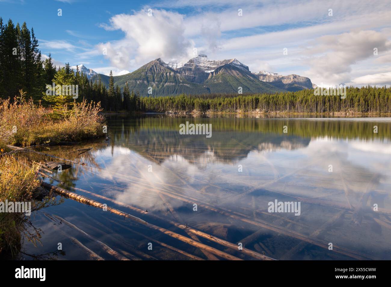 Herbert Lake near Lake Louise in the Canadian Rockies, Banff National ...