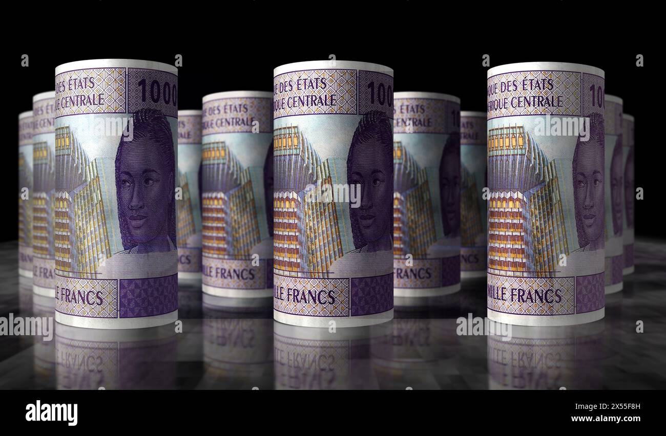 Central African CFA Franc money Cameroon Chad Congo Gabon pack 3d ...