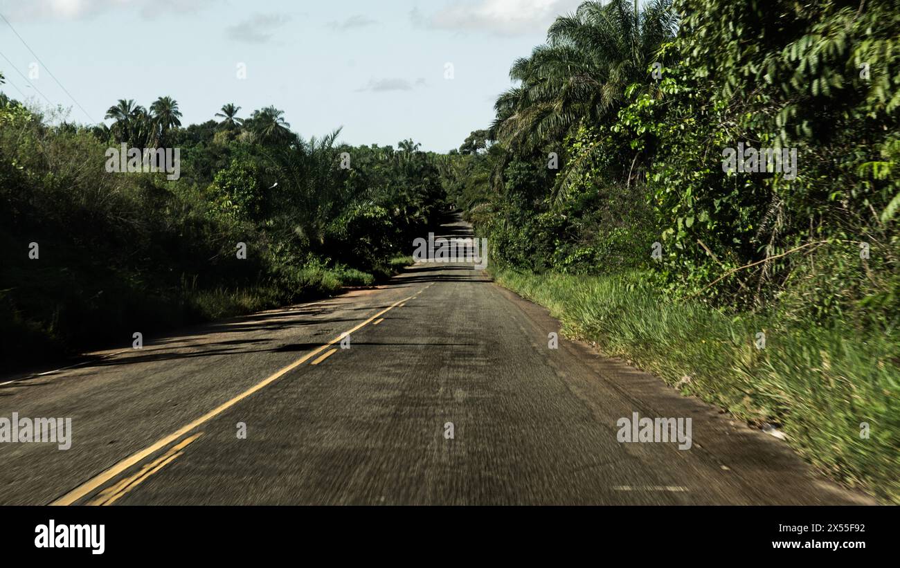 Urban forest brazil hi-res stock photography and images - Alamy