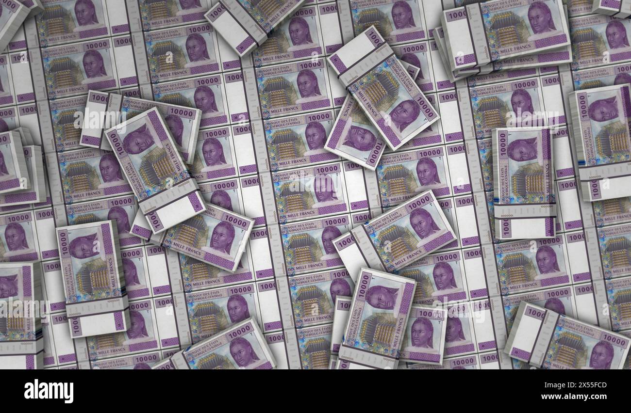 Central African CFA Franc money Cameroon Chad Congo Gabon pack 3d ...