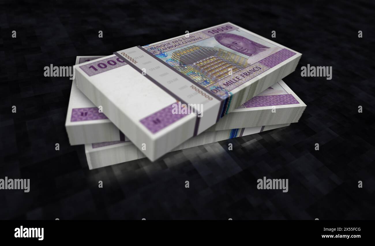Central African CFA Franc money Cameroon Chad Congo Gabon pack 3d ...