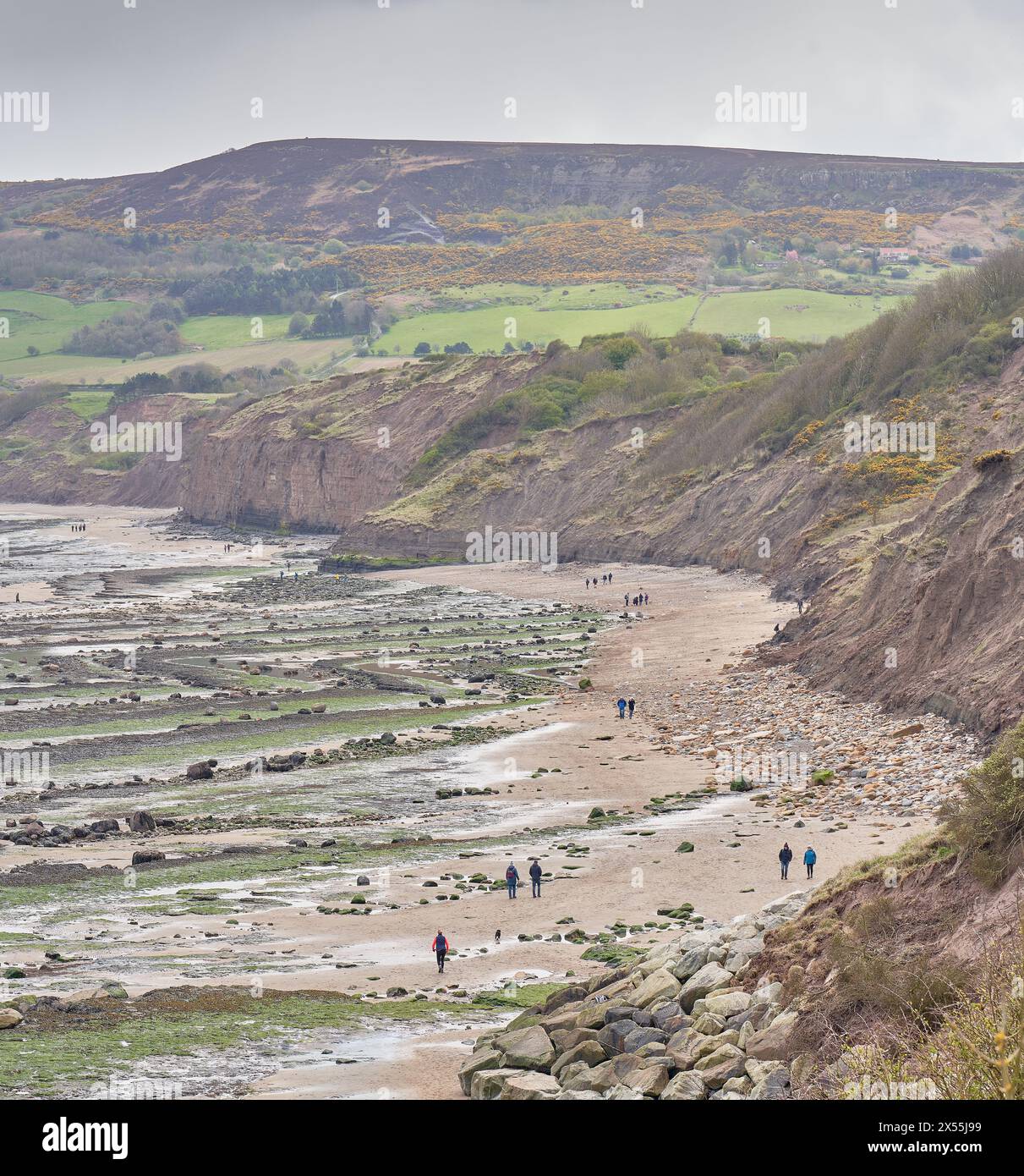 The Yorkshire coast with moorland and eroding cliffs Stock Photo - Alamy