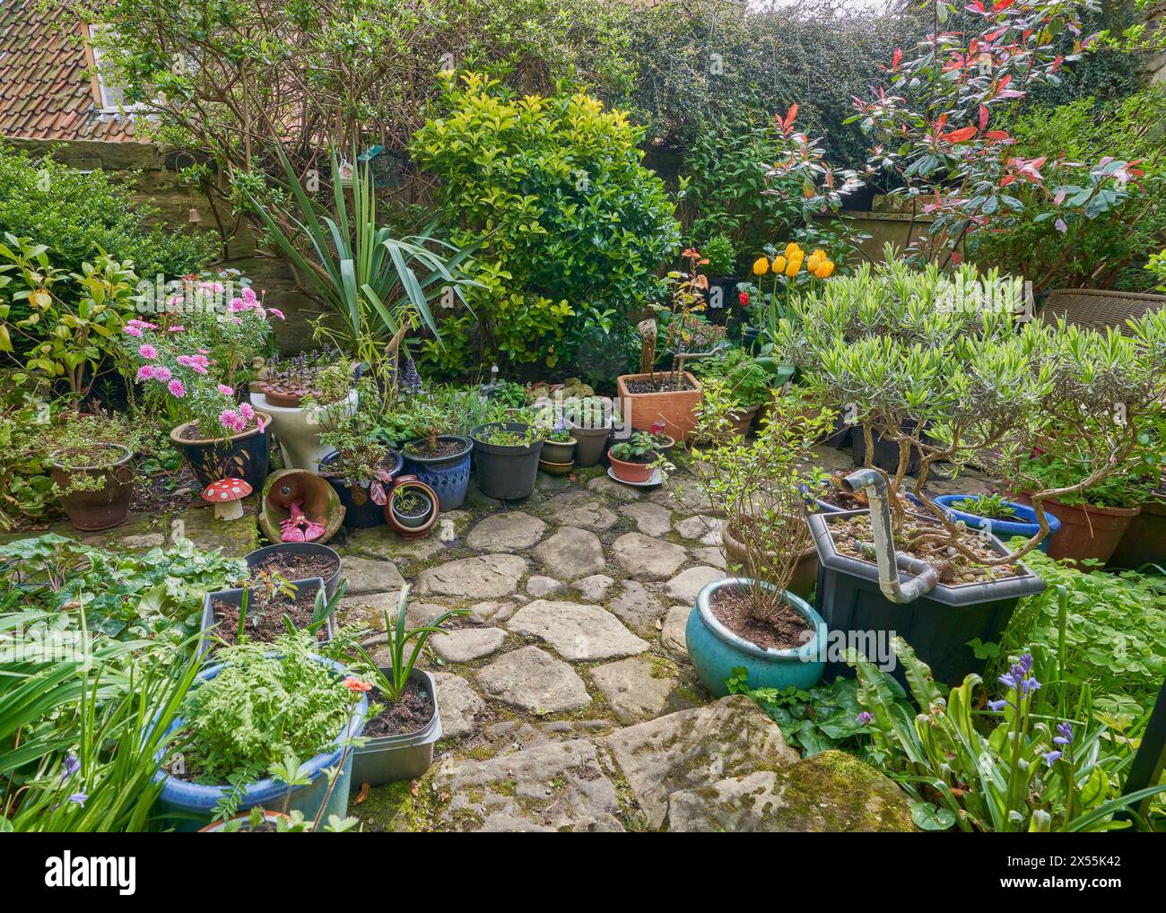 Rustic patio garden with potted plants Stock Photo - Alamy