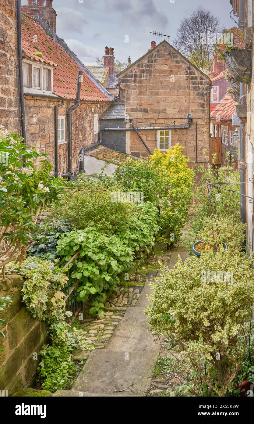 Street view robin hoods bay hi-res stock photography and images - Alamy
