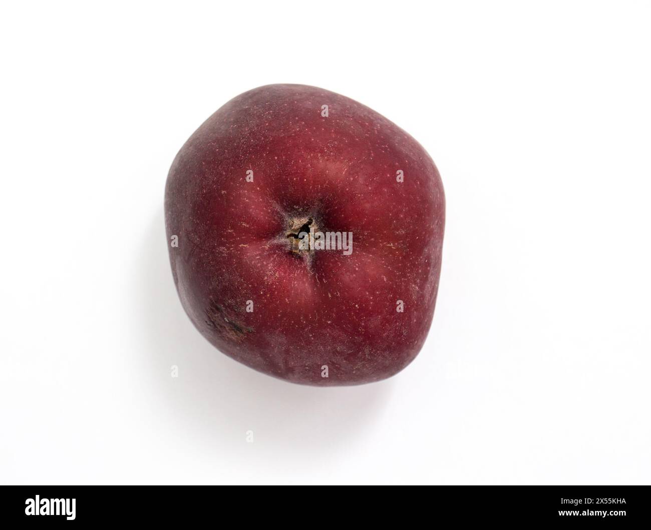 The nature vegetable colored Apple on a white background Stock Photo ...