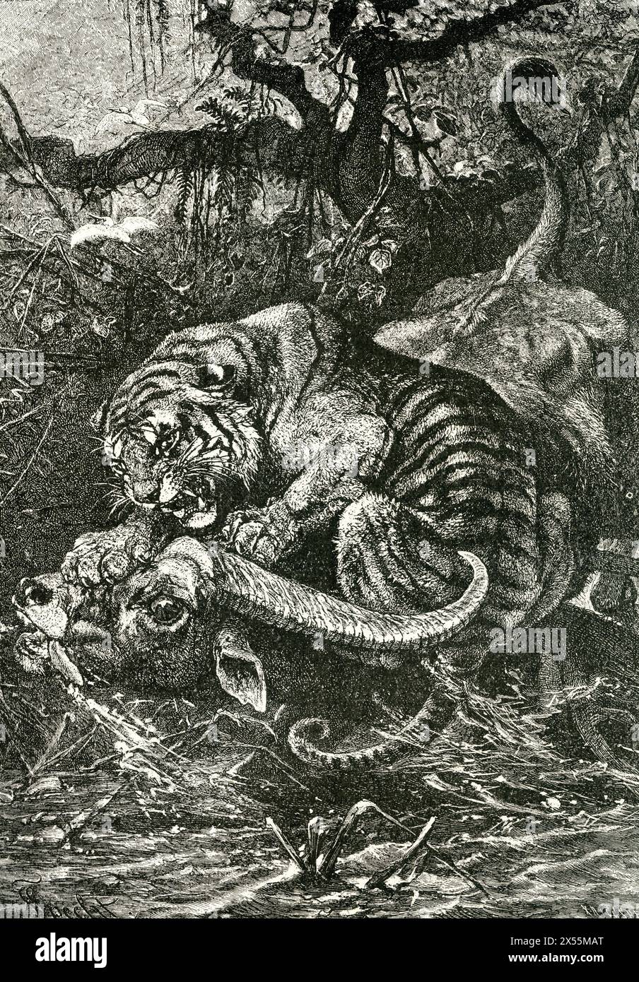 Buffalo hunting painting hi-res stock photography and images - Alamy