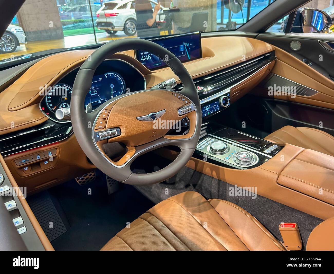 Shanghai, China, Detail, Luxury Chinese Electric Cars on Display in New ...