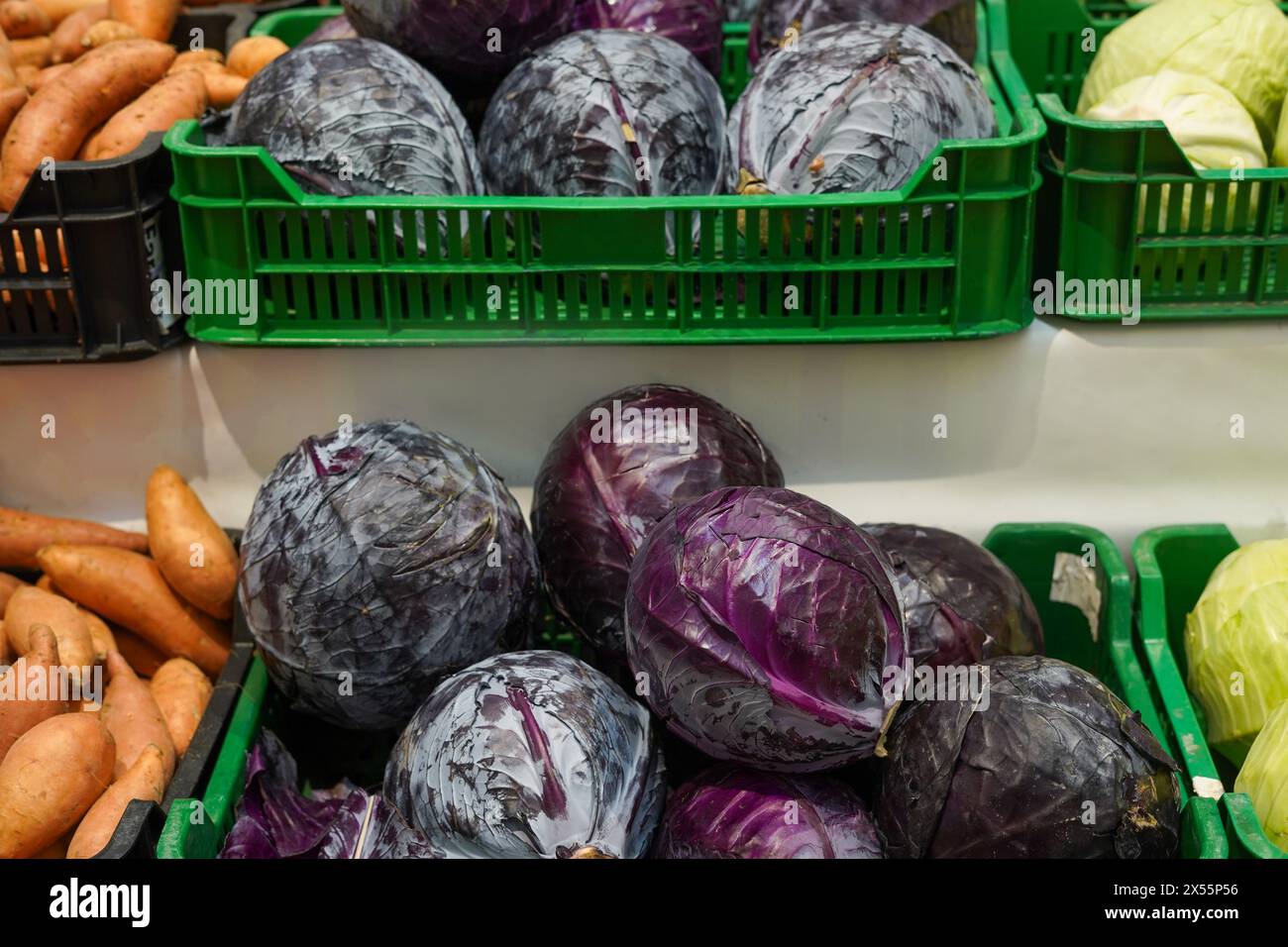 cabbage in boxes at the grocery store Stock Photo - Alamy