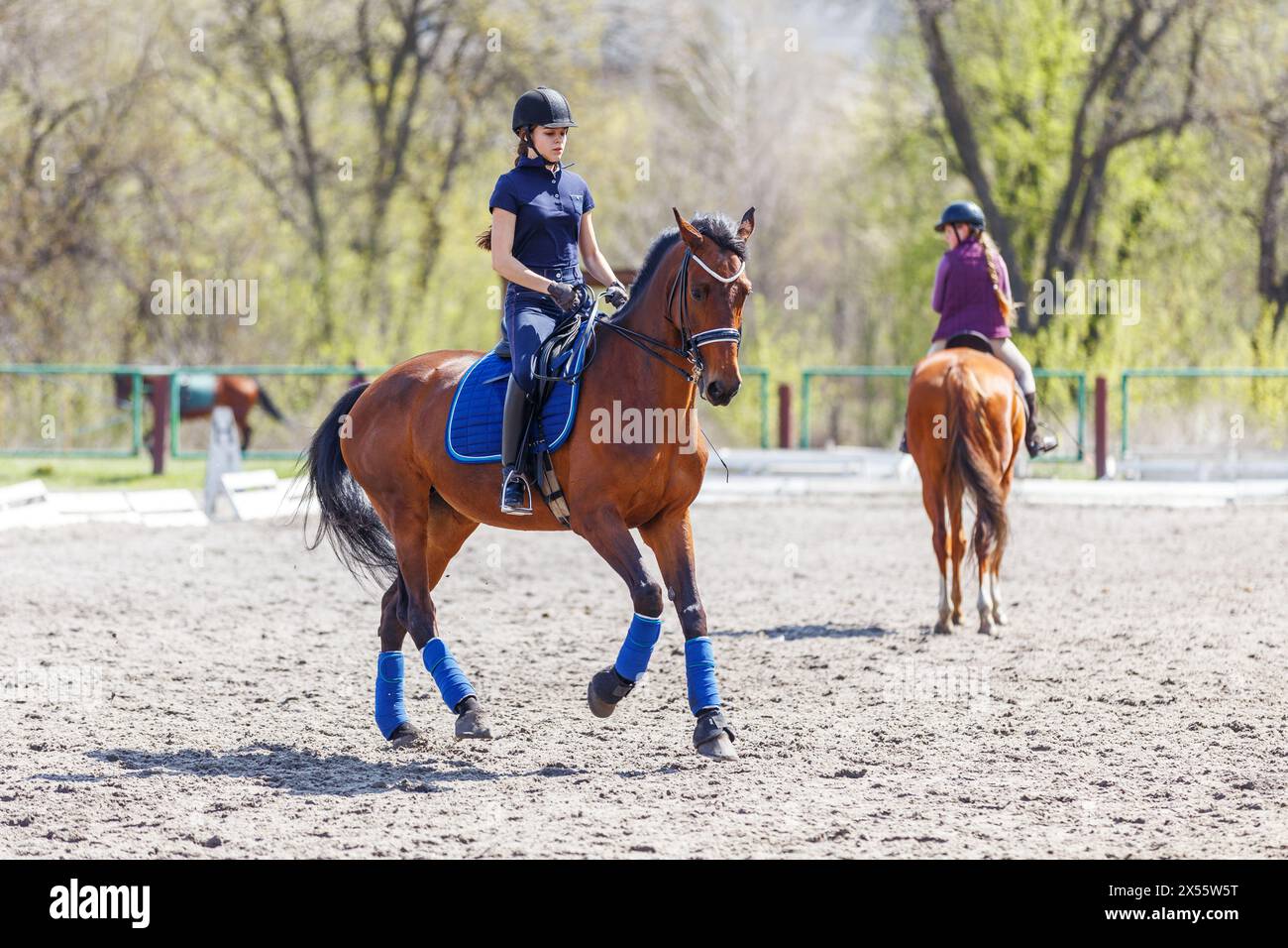 Young girl riding bay horse on equestrian dressage training Stock Photo ...