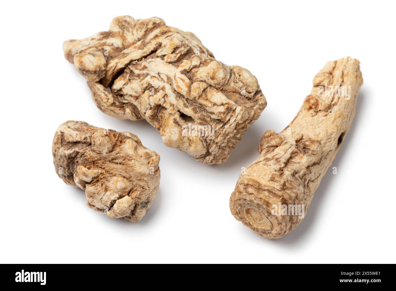 Angelica sinensis roots hi-res stock photography and images - Alamy