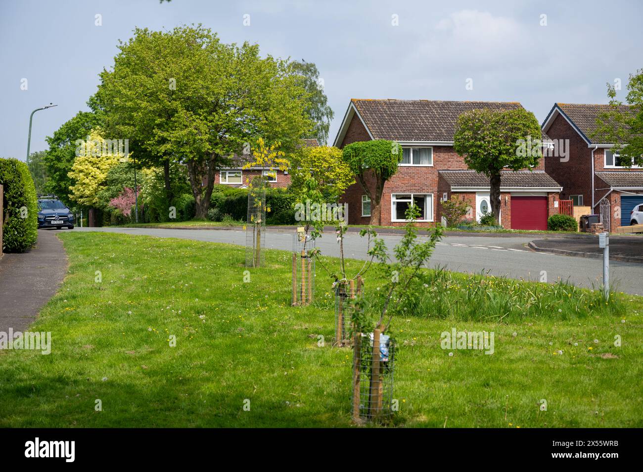 Urban greenery in an established housing development showing grass ...
