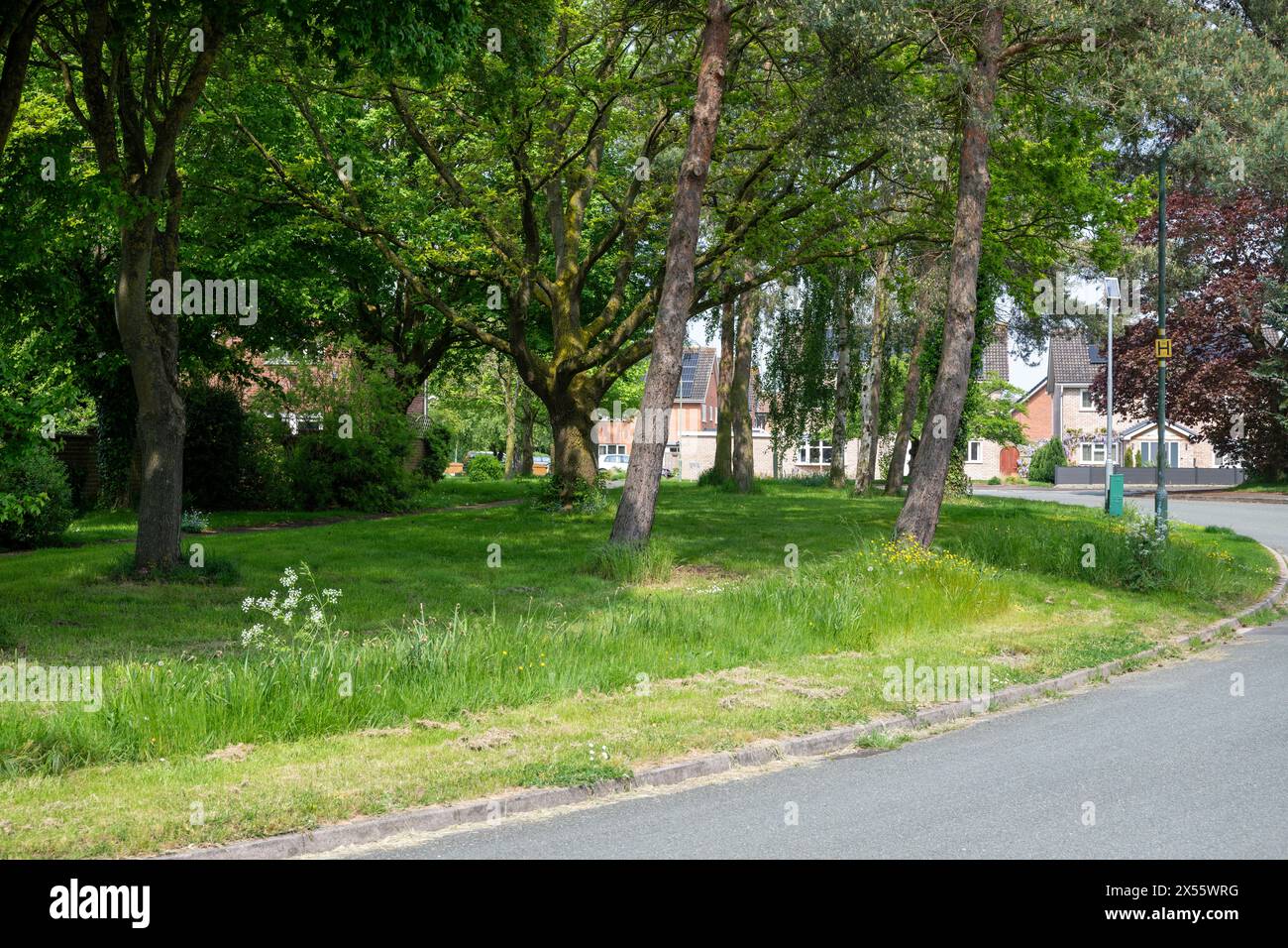 Urban greenery in an established housing development showing grass ...