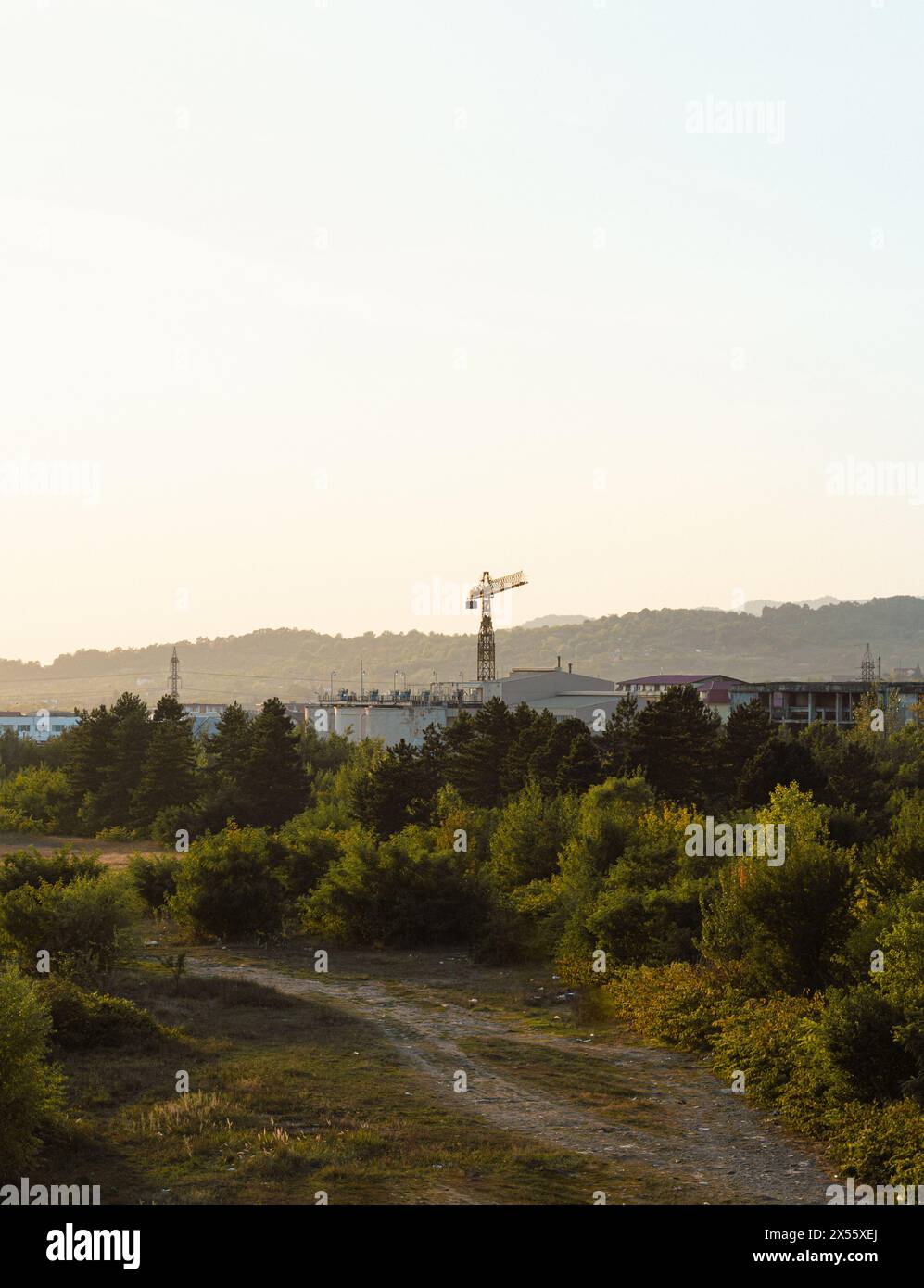 City and the forest hi-res stock photography and images - Alamy