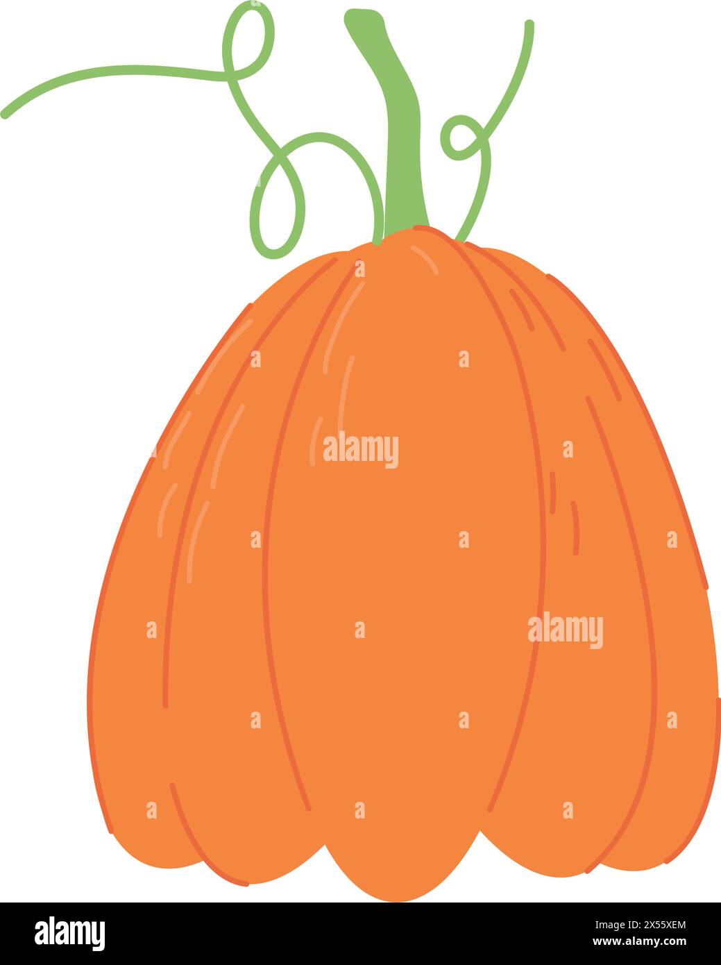Pumpkin vector illustration. Autumn Halloween or Thanksgiving pumpkin ...