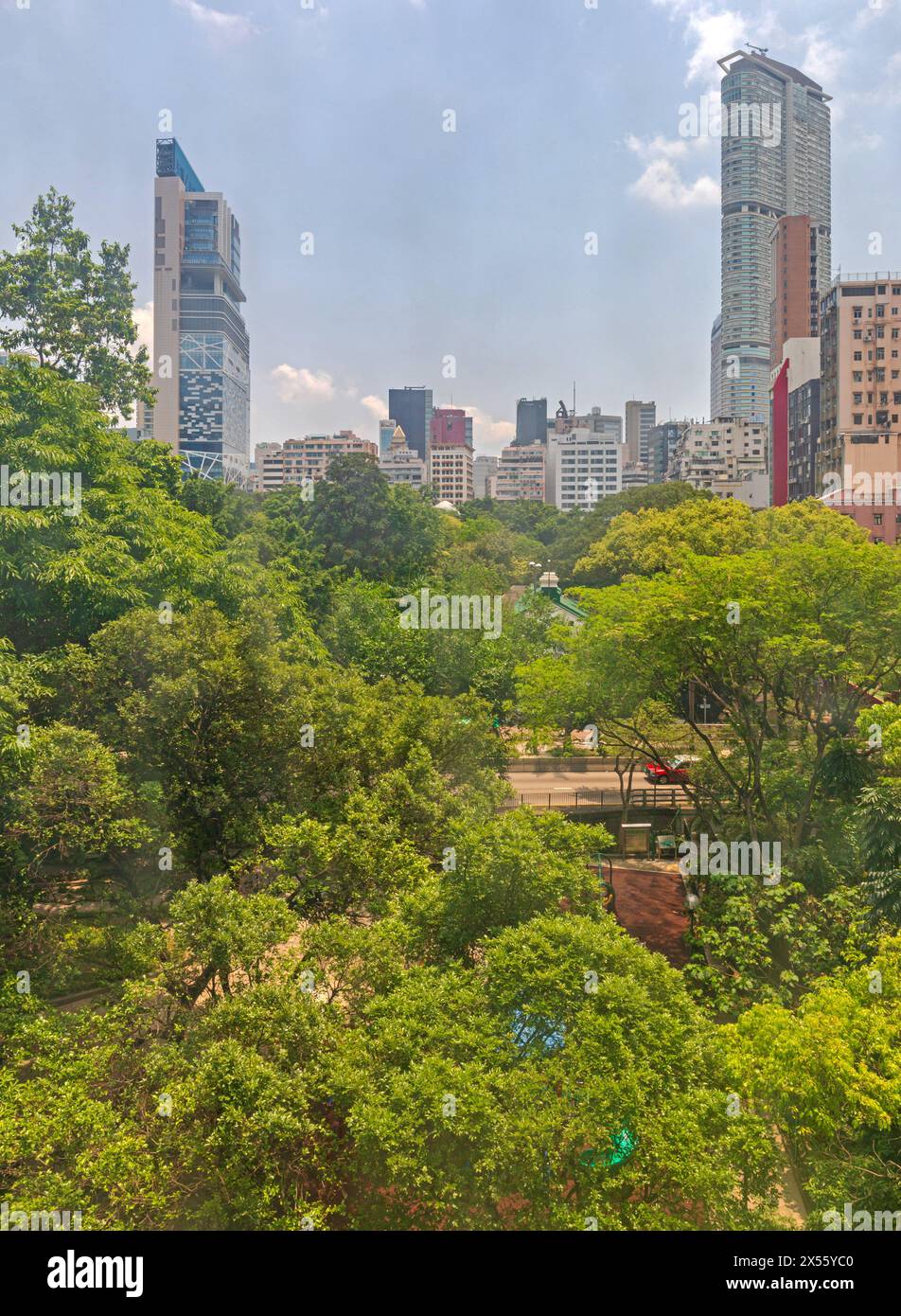 Green Oasis Trees Nature in Kowloon Park Hong Kong Spring Day Stock ...
