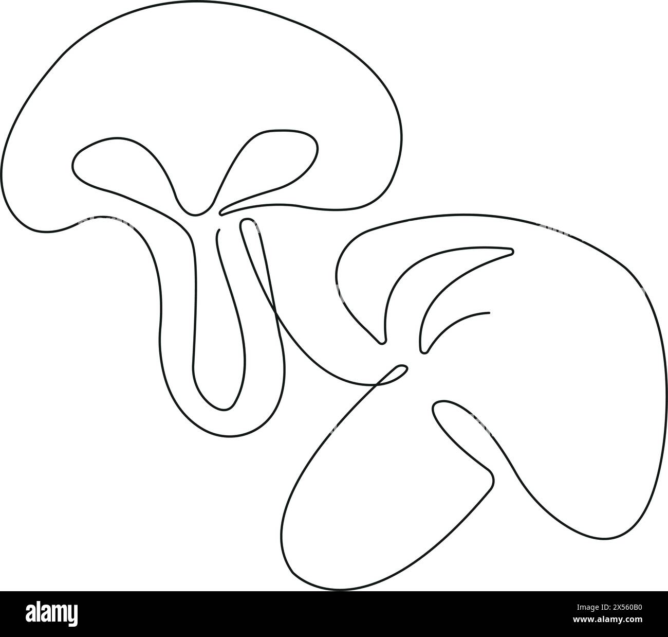 Mushrooms in continuous line art drawing style. Half champignon and ...