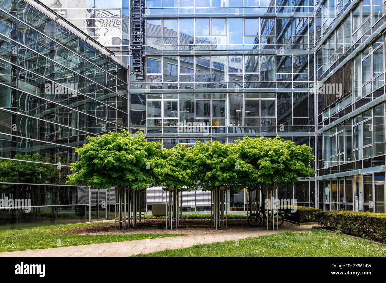 trees in the inner courtyard of an office and business building in ...