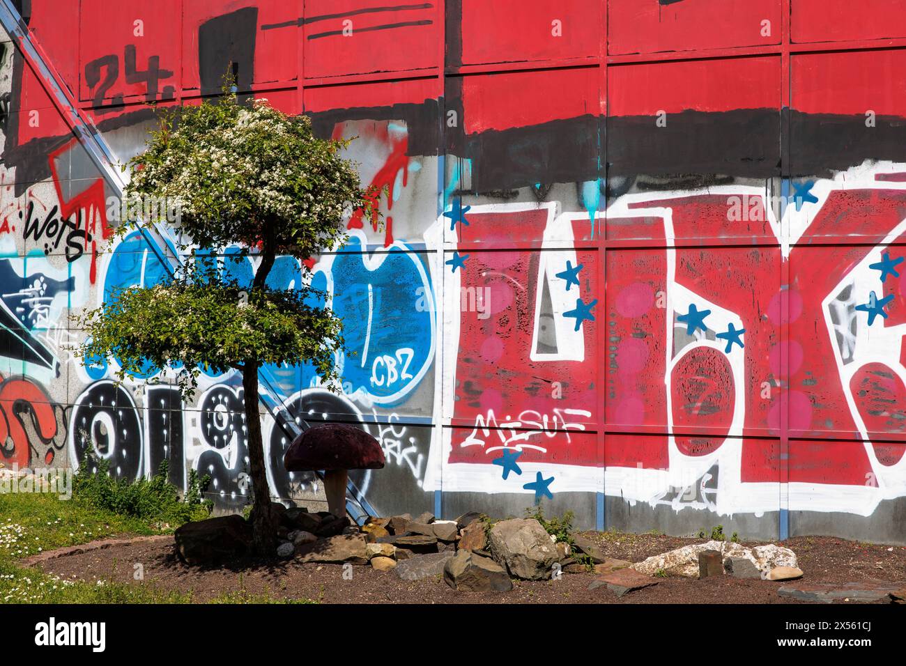 graffiti on a wall on Maybachstreet, small tree, Cologne, Germany ...