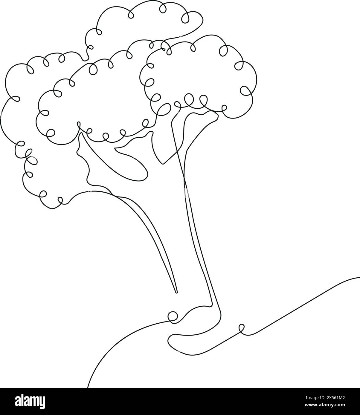 Broccoli in continuous line art drawing style. Broccoli minimalist ...