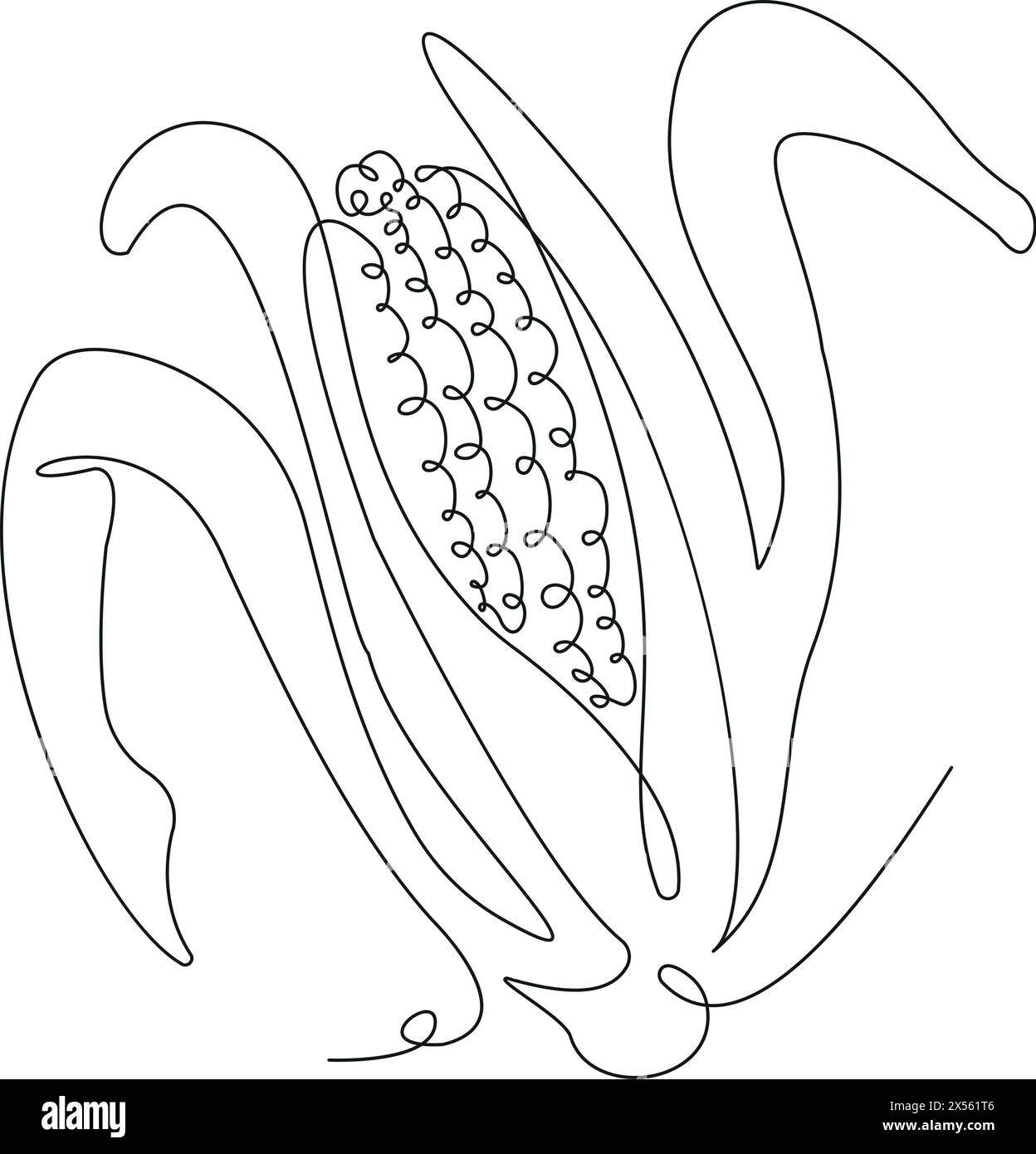 Corn in continuous line art drawing style. Ear of corn minimalist black ...
