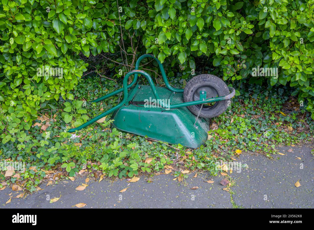 An upside down wheelbarrow on a pavement and under a hedge Stock Photo ...