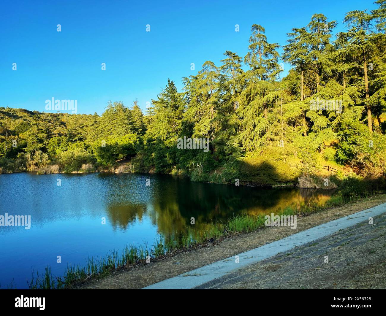Franklin Canyon Reservoir at Franklin Canyon Park, Los Angeles ...
