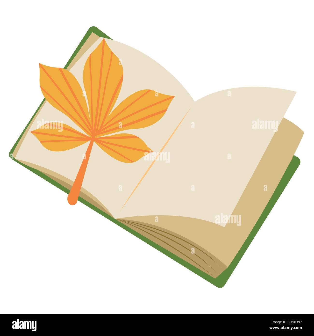 Book with autumn chestnut leaf isolated on white background. Vector ...