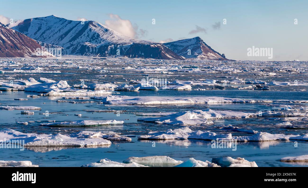 Floating sea ice in Davy Sound on the northeast coast of Greenland ...