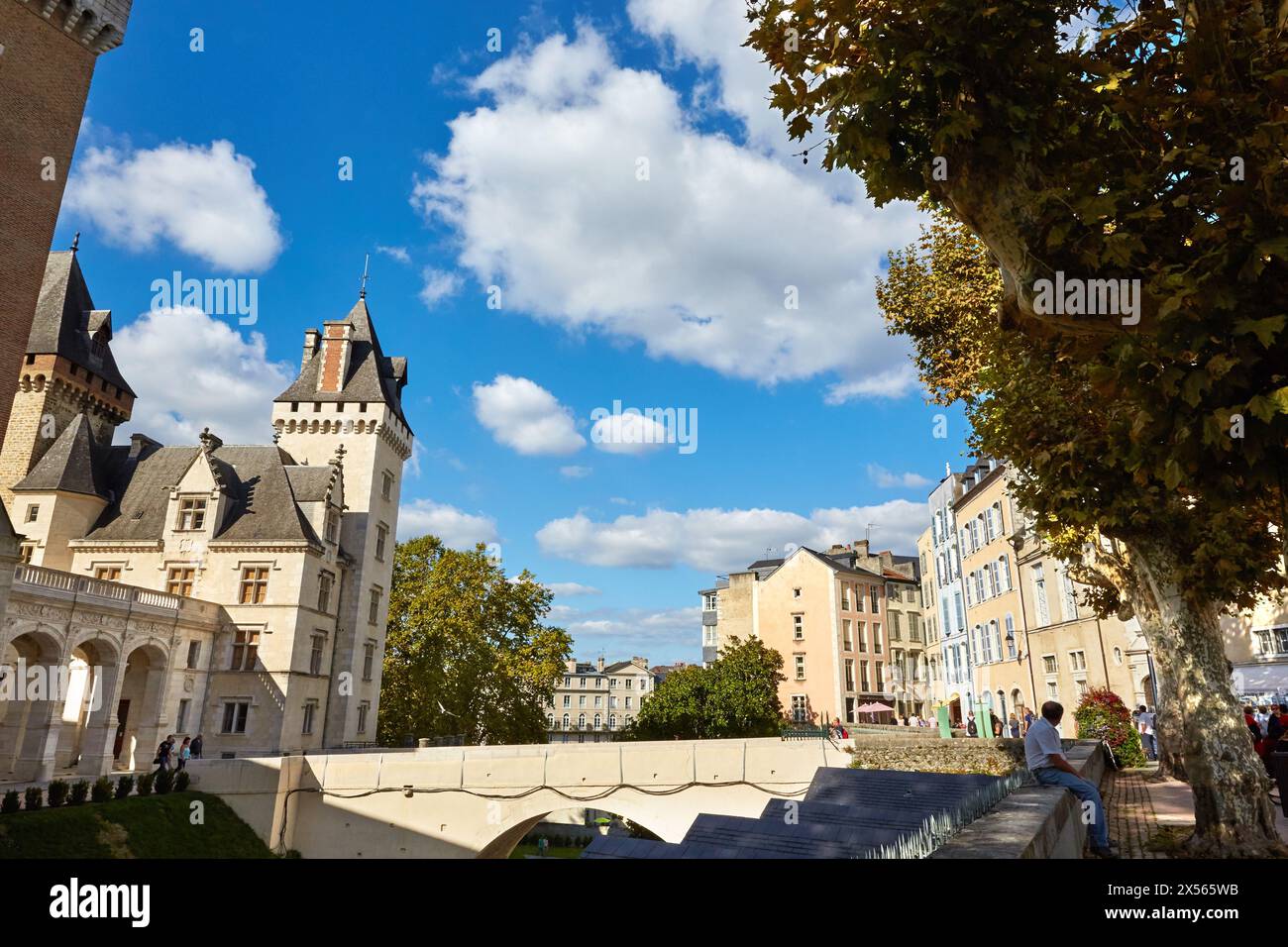 Chateau de Pau (Pau Castle), Pau, Pyrenees - Atlantiques, Aquitaine, France Stock Photo - Alamy