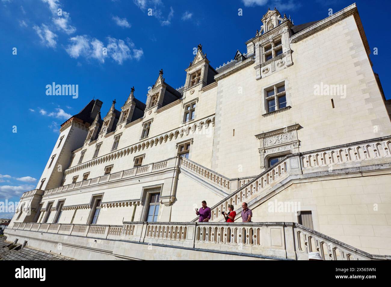 Chateau de Pau (Pau Castle), Pau, Pyrenees - Atlantiques, Aquitaine ...