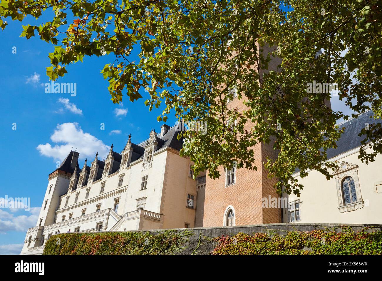 Chateau de Pau (Pau Castle), Pau, Pyrenees - Atlantiques, Aquitaine ...