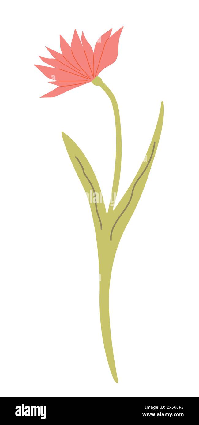 Background macro wildflower Stock Vector Images - Alamy