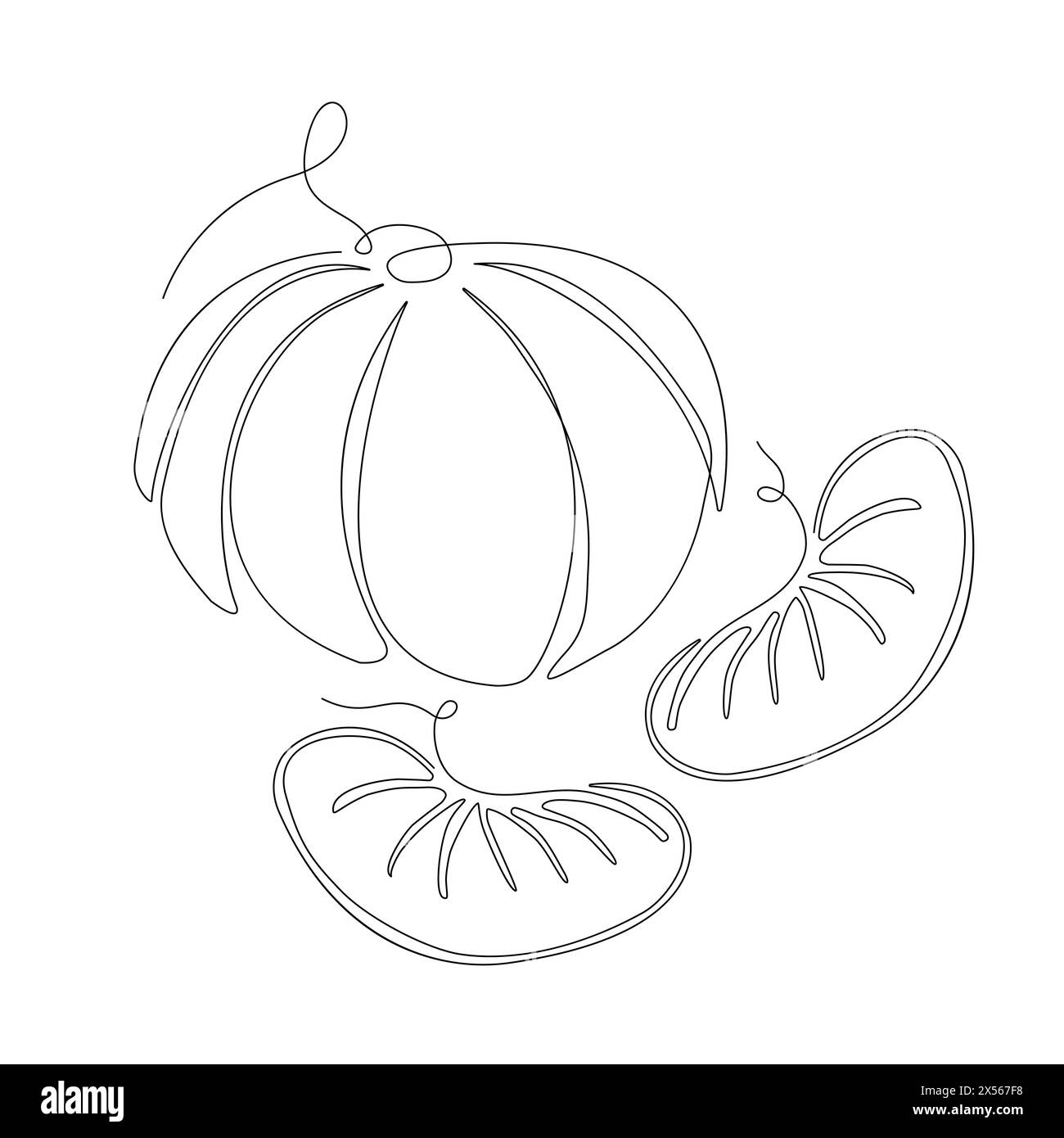 Tangerine in continuous line art drawing style. Tangerine minimalist ...