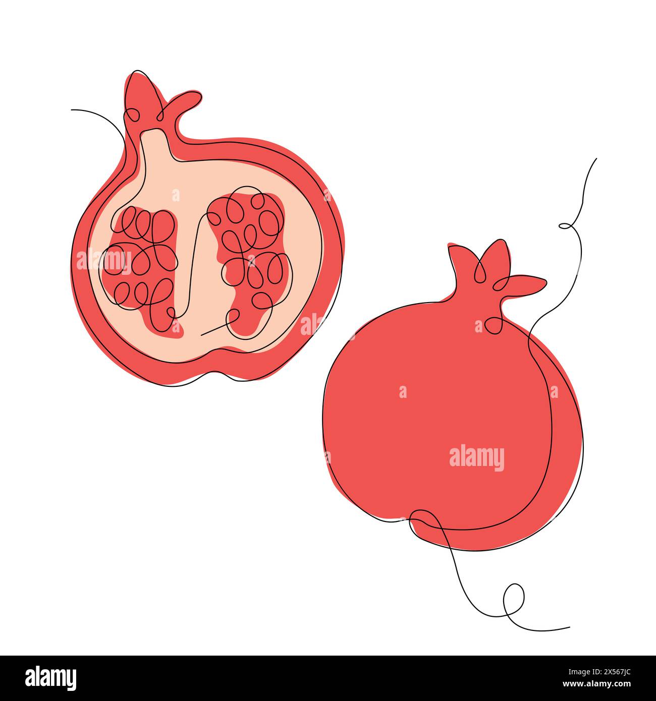 Pomegranate in continuous line art drawing style. Half pomegranate and ...