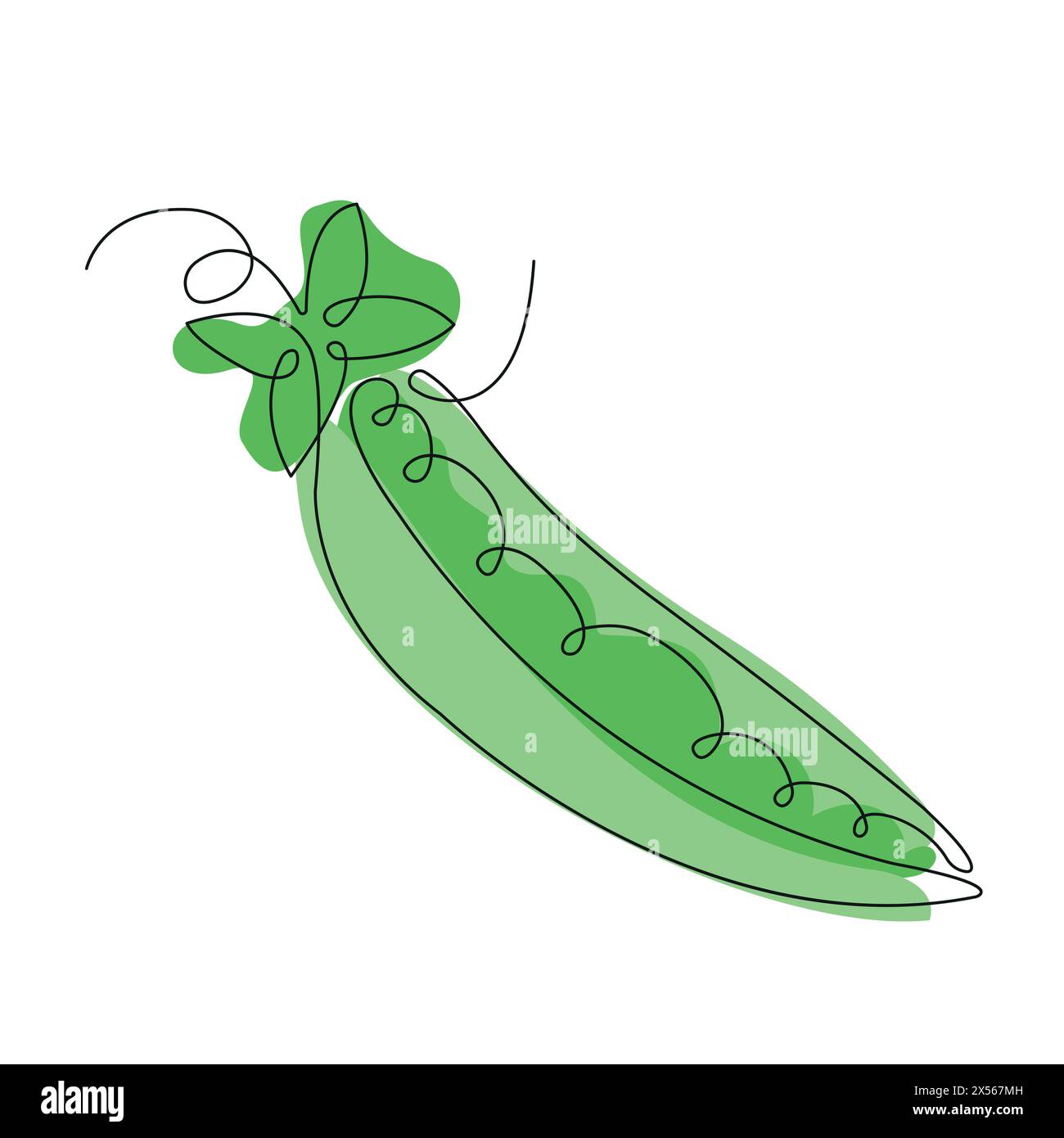 Peas in continuous line art drawing style. Peas minimalist black linear ...
