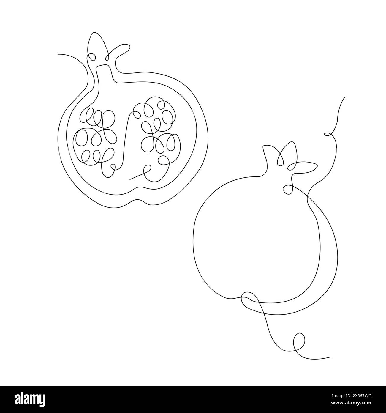 Pomegranate in continuous line art drawing style. Two Pomegranates ...
