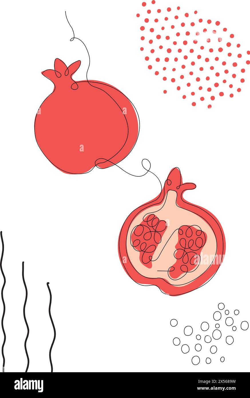 Continuous one line drawing pomegranate. Vector illustration. Black ...