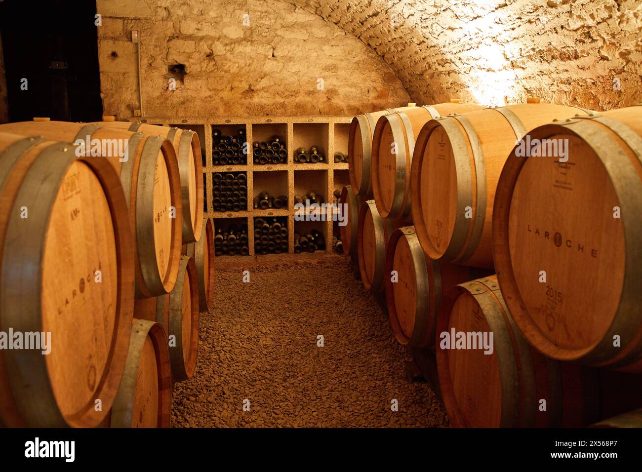 Barrels, L'Obédiencerie, Domaine Laroche, Wine cellar, Chablis, Yonne ...