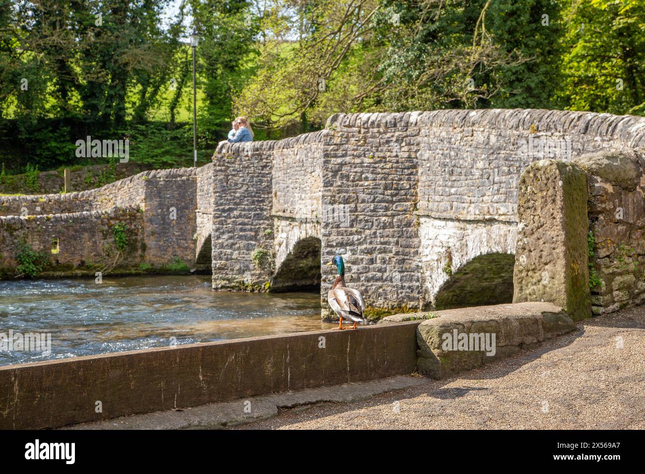 England medieval stone bridge hi-res stock photography and images - Alamy