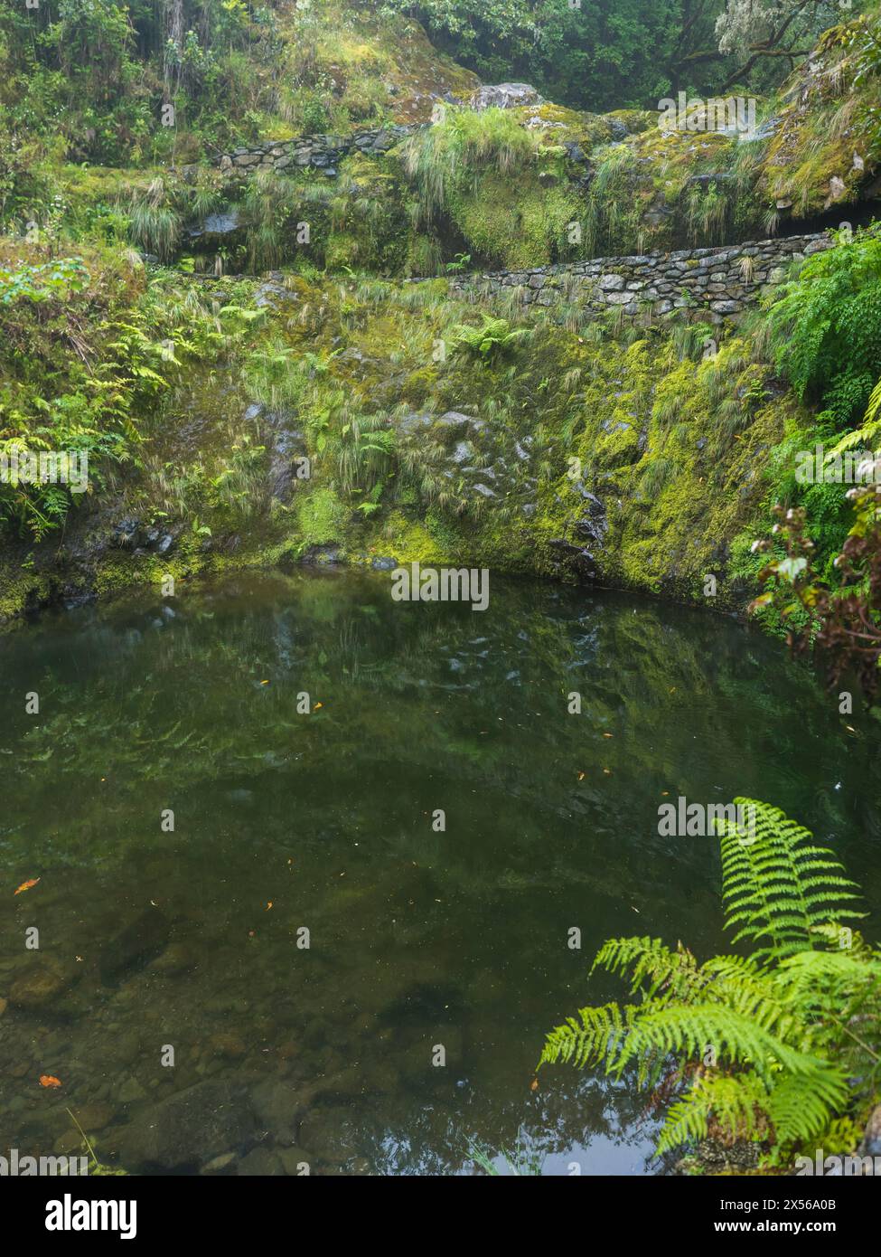 Pr10 madeira hi-res stock photography and images - Alamy