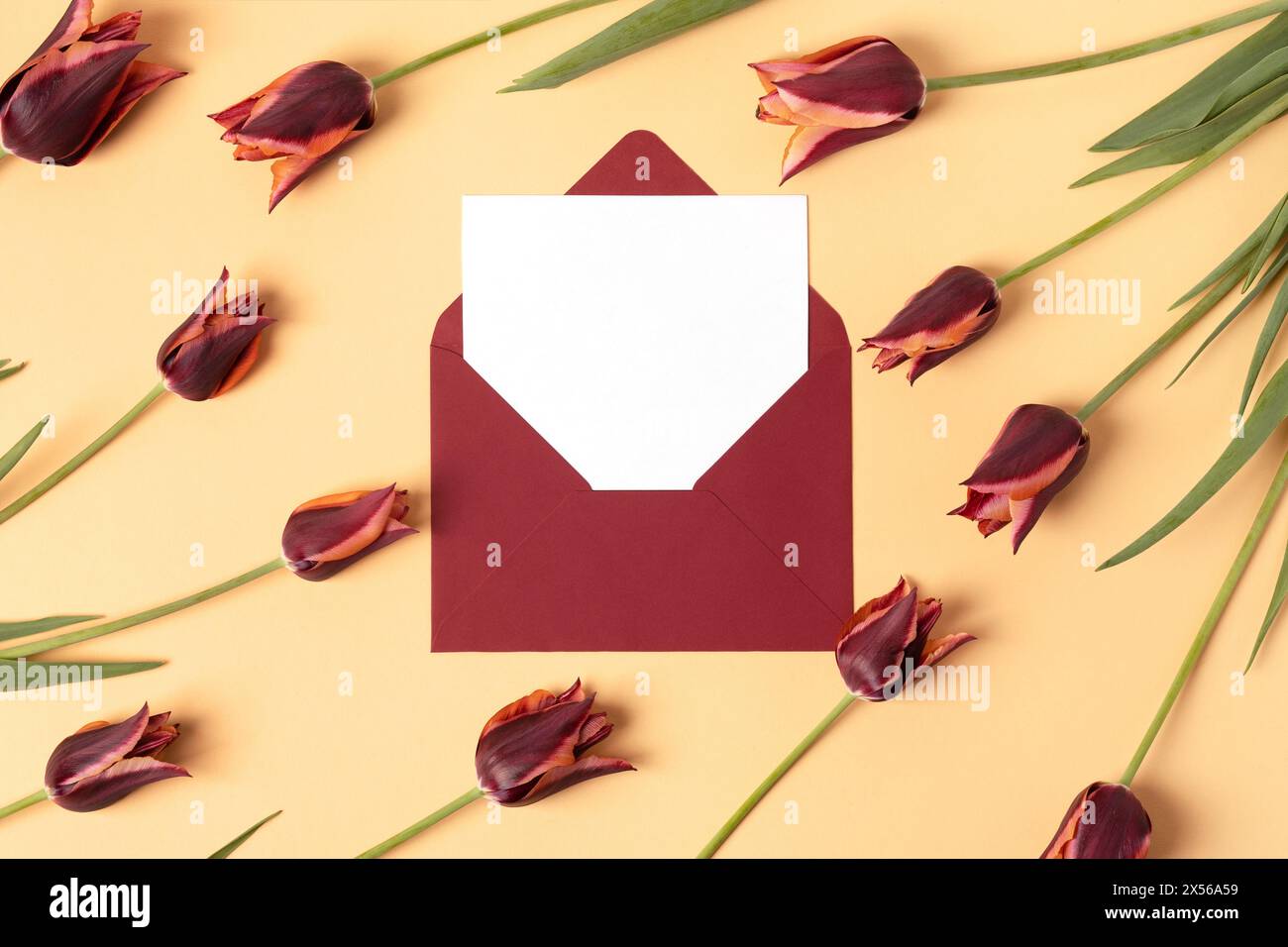 Burgundy envelope with clean white sheet of paper for your text and spring flowers burgundy ...