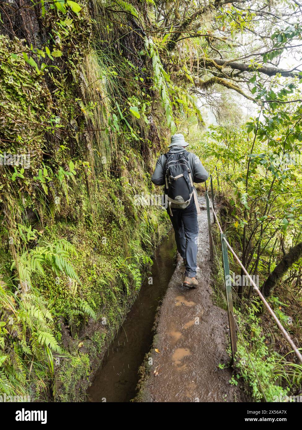 Man hiker with backpack walking along levada, water irrigation channel ...