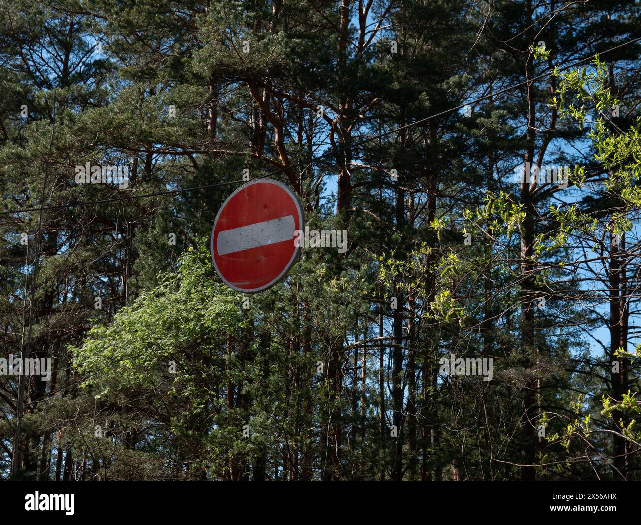Hanging stop sign in forest Stock Photo - Alamy