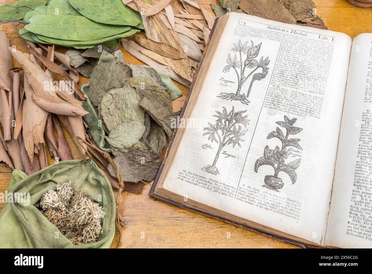 Apothecary workshop / herbal medicine scene, with William Salmon's ...